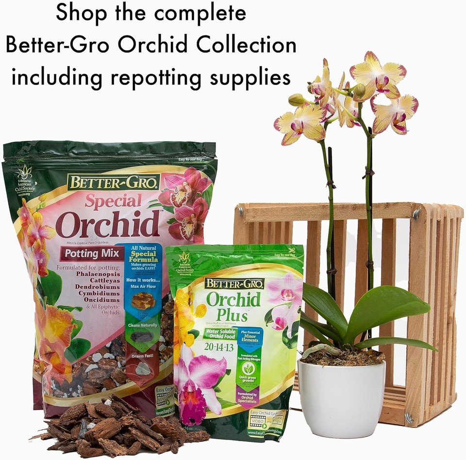 Special Orchid Mix - Grade Orchid Bark Potting Mix for Potting ...