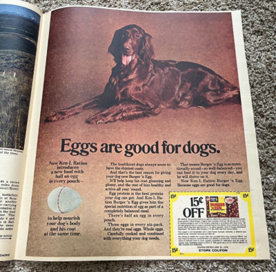 1975 Ken-L Ration Burger 'N Egg Dog Food Newspaper Print Ad | eBay