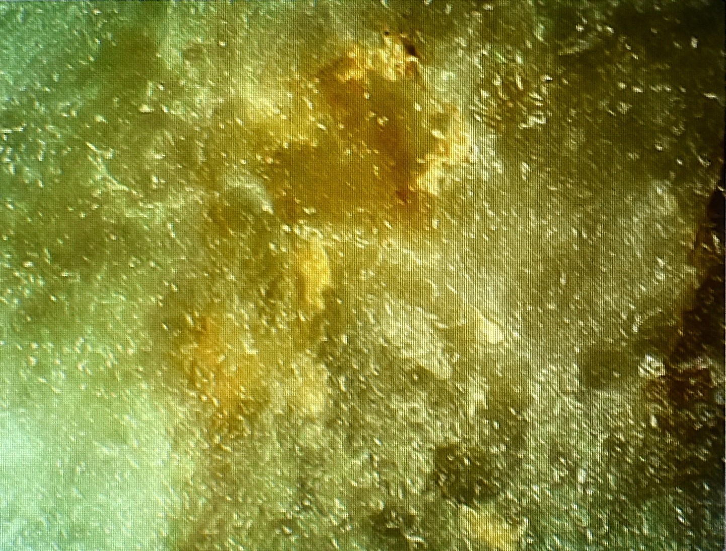 Gold Sylvanite Auriferous Gold Quartz 1800s Ore Knob Copper Mine 1.18 ...