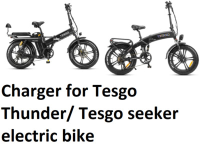 🔥battery charger for Tesgo Thunder / Tesgo Seeker electric bike 3A | eBay