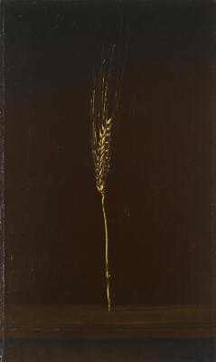 Wheat Ear : Salvador Dali : 1947 : Archival Quality Art Print | eBay