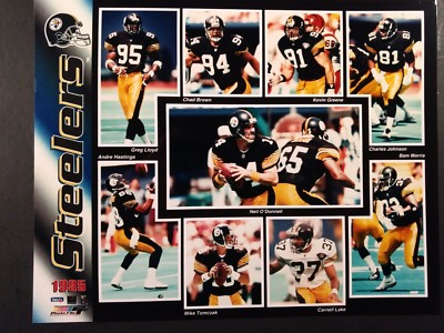 1995 PITTSBURGH STEELERS Team Composite 8x10 Photo | eBay