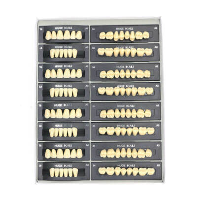 HUGE KAILI A3 Dental Synthetic Polymer Resin Teeth T8 L8 34 A3 COLOR ...