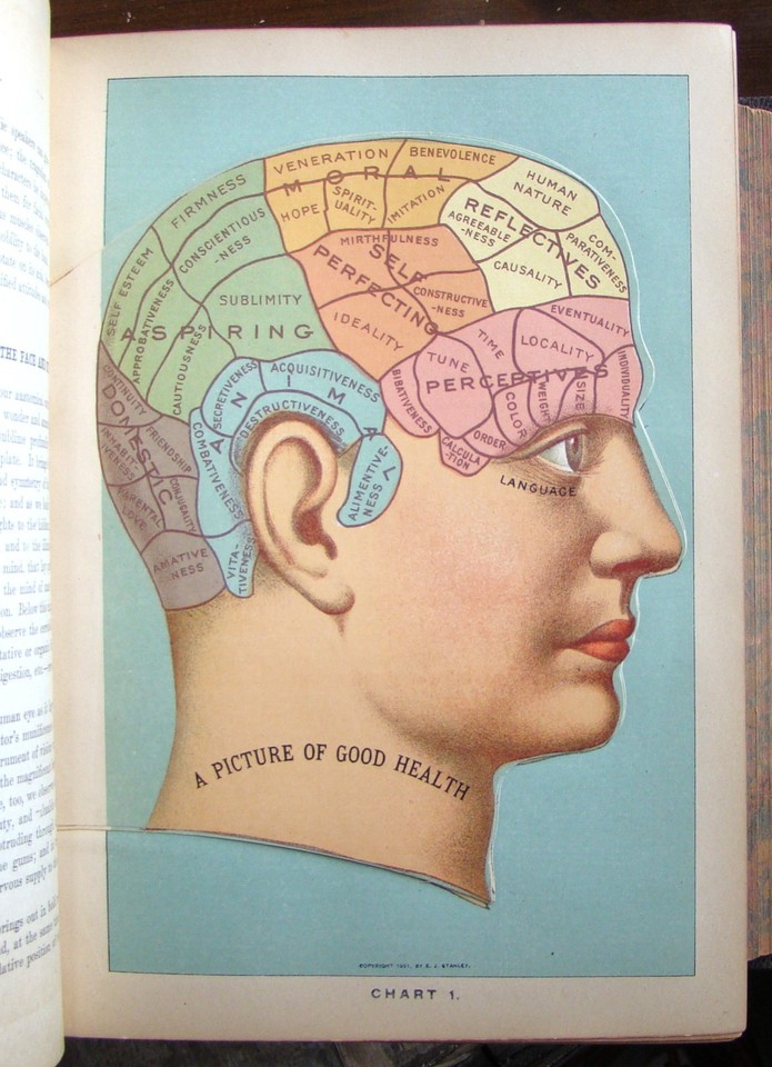 Health And Longevity ~⚕ 1912 Vintage HC ⚕~ Richardson Pox Anatomy Color ...