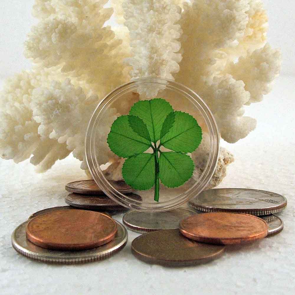 5 Leaf Clover Uncommon Jewel: Five Leaf Clover Pendant Chain Necklace