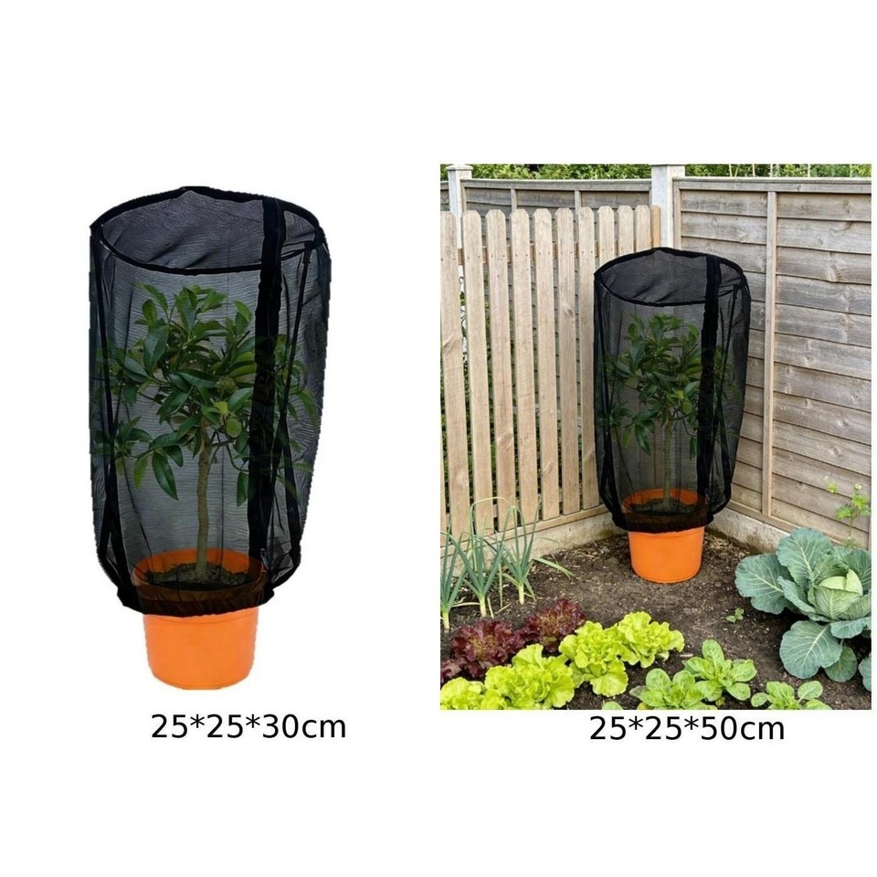 Plant protection dome with steel wire frame for For Dust and bird ...