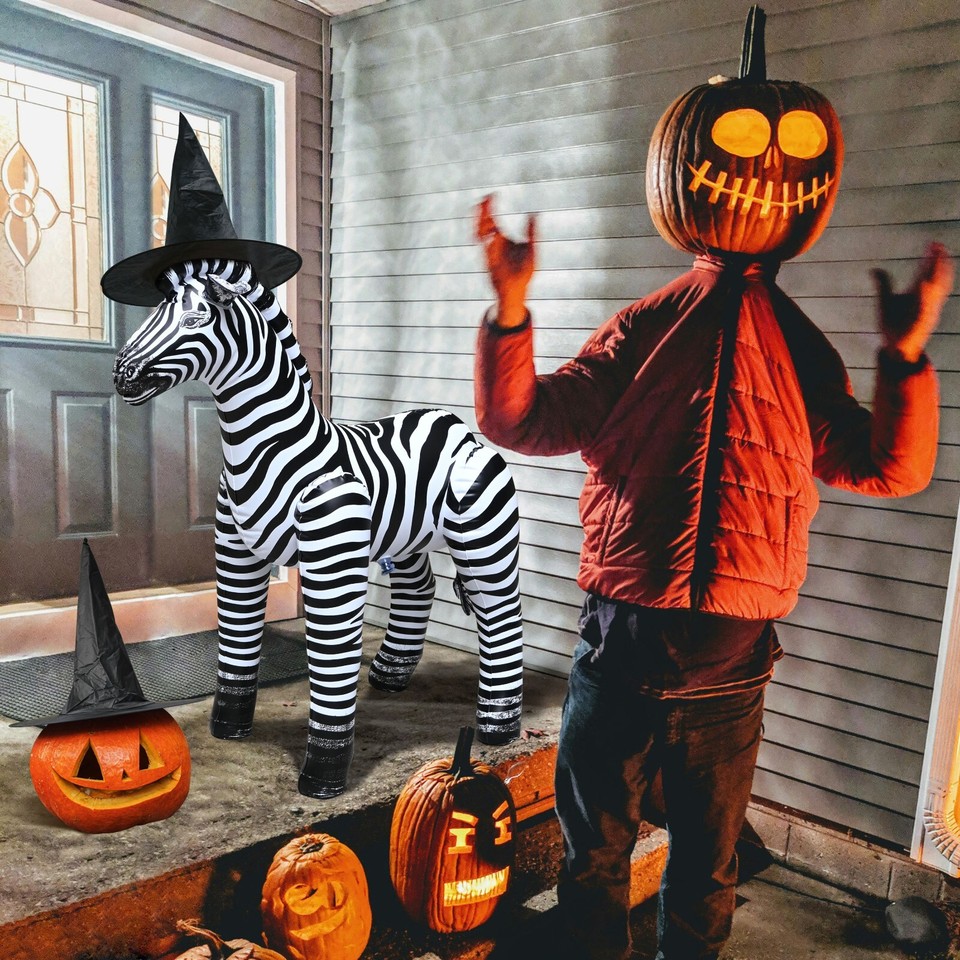 Jet Creations Inflatable Zebra 32" Realistic Animal Figure Zoo Theme ...