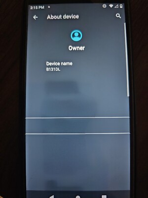 BLU (Model Name B131DL) - 32 GB - Black (Unlocked) With TIKTOK App! | eBay