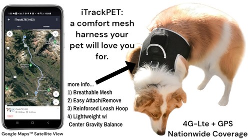 Pet GPS Tracker Collar Dog Cat Finder GSM Lost Locator 4G Smart ...