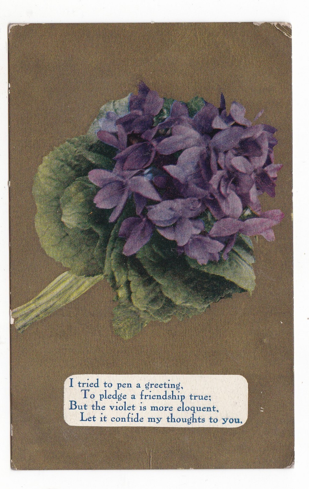 1909 BALDWIN ILLINOIS PANSY FLOWER POEM VINTAGE POSTCARD IL SPARTA OLD ...