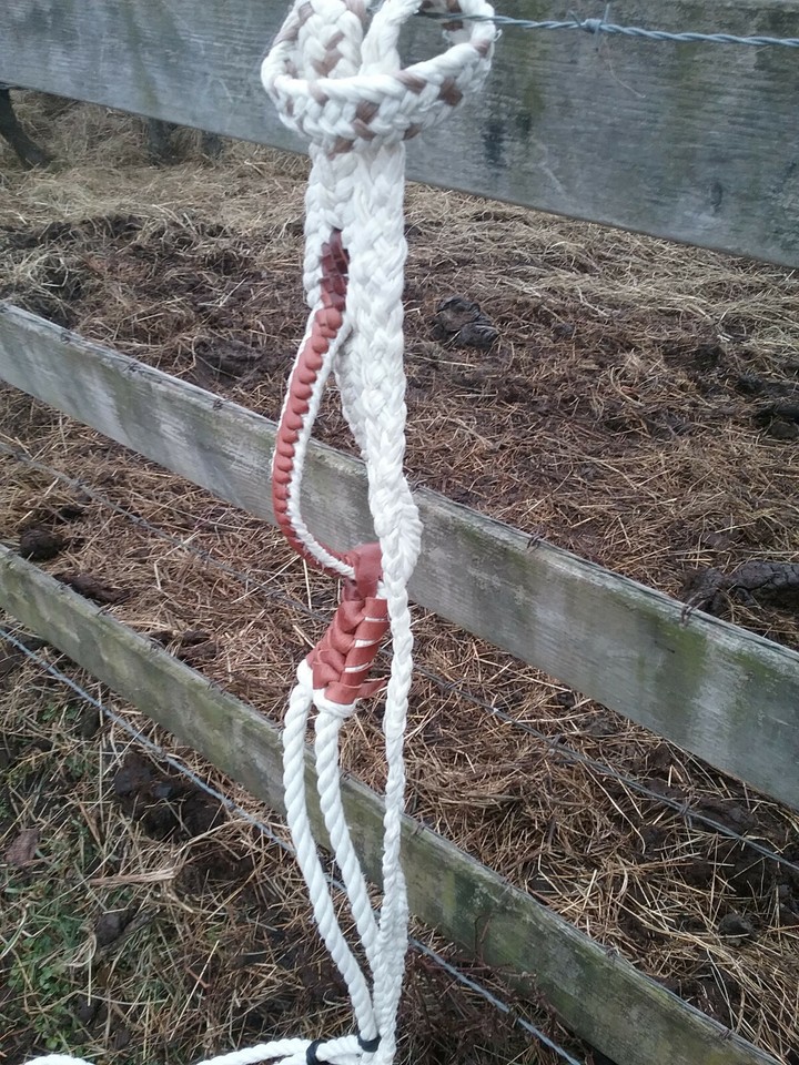 Bullrope Bull rope Bull Riding Gear Rodeo Equipment pbr | eBay