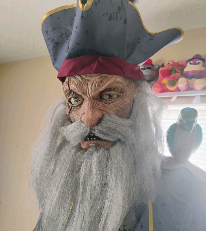 Home Accents Holiday 7ft captain cuts Pirate Animatronic Halloween Home ...
