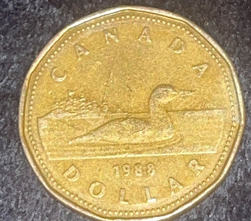 Three Rare 1988 Canadian Loonie 1 dollar coins | eBay