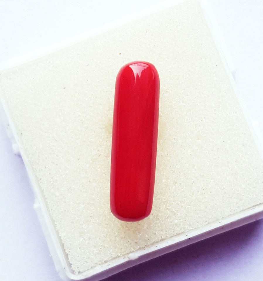 100% Natural Red Coral Loose Gemstone 5.00 Ct Certified With Free Gift ...