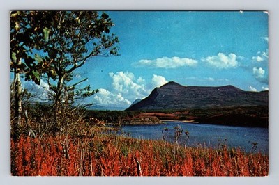 Kodiak AK- Alaska, Landscape Of Autumn Colors, Vintage Postcard | eBay