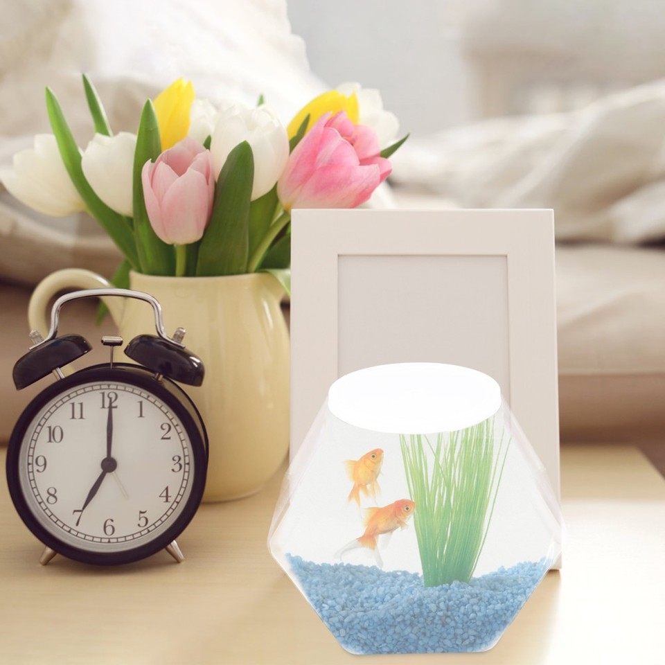 2 Pcs Fish Bowl with Lid Mini Aquarium Desktop Tank Plastic Bowls ...
