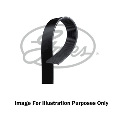 Gates Micro-V Multi-Ribbed Belt 6PK2100- OE Quality Fit & Construction ...