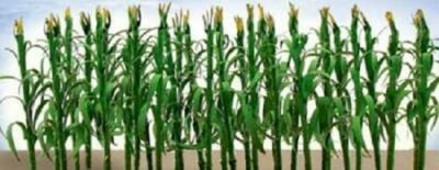 JTT (O-Scale) 95553 CORN STALKS 2 Inch - 28 pk - NIB | eBay