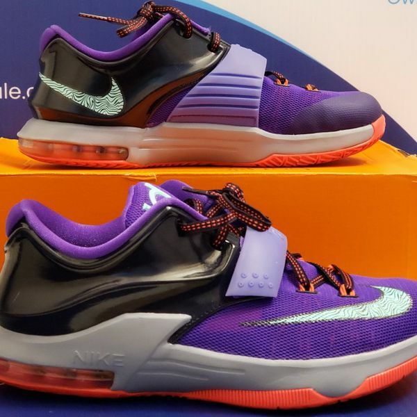 Kd7 Purple