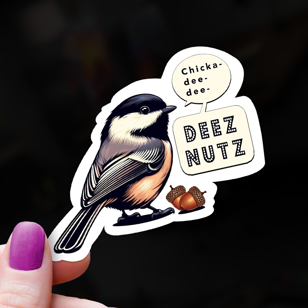 Chickadee "Chicka-dee-dee DEEZ NUTZ" Sticker | Bird Decal | Funny Bird ...