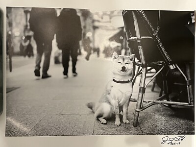 Jared Polin FroKnowsPhoto Print 17x22 Signed 365 2019 Black And White ...