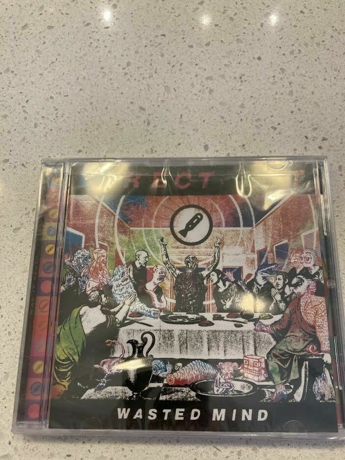 Wasted Mind by Direct Hit (CD, 2016) for sale online | eBay