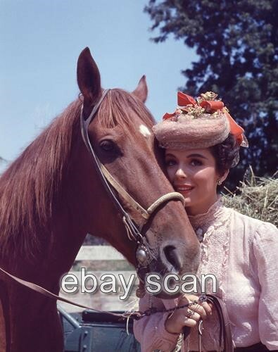 ERIN O'BRIEN MAVERICK WITH HORSE 8X10 PHOTO 2 | eBay
