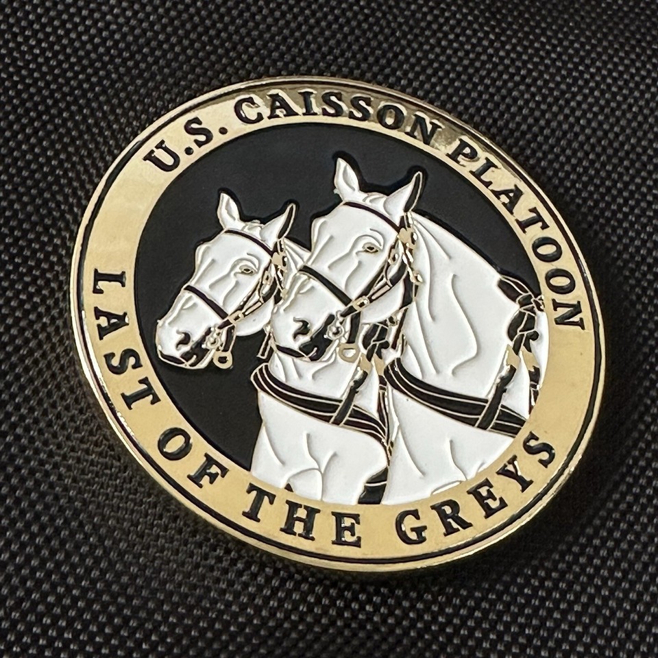 US Caisson Platoon 4th Squad Honor Guard LAST OF THE GREYS Challenge ...