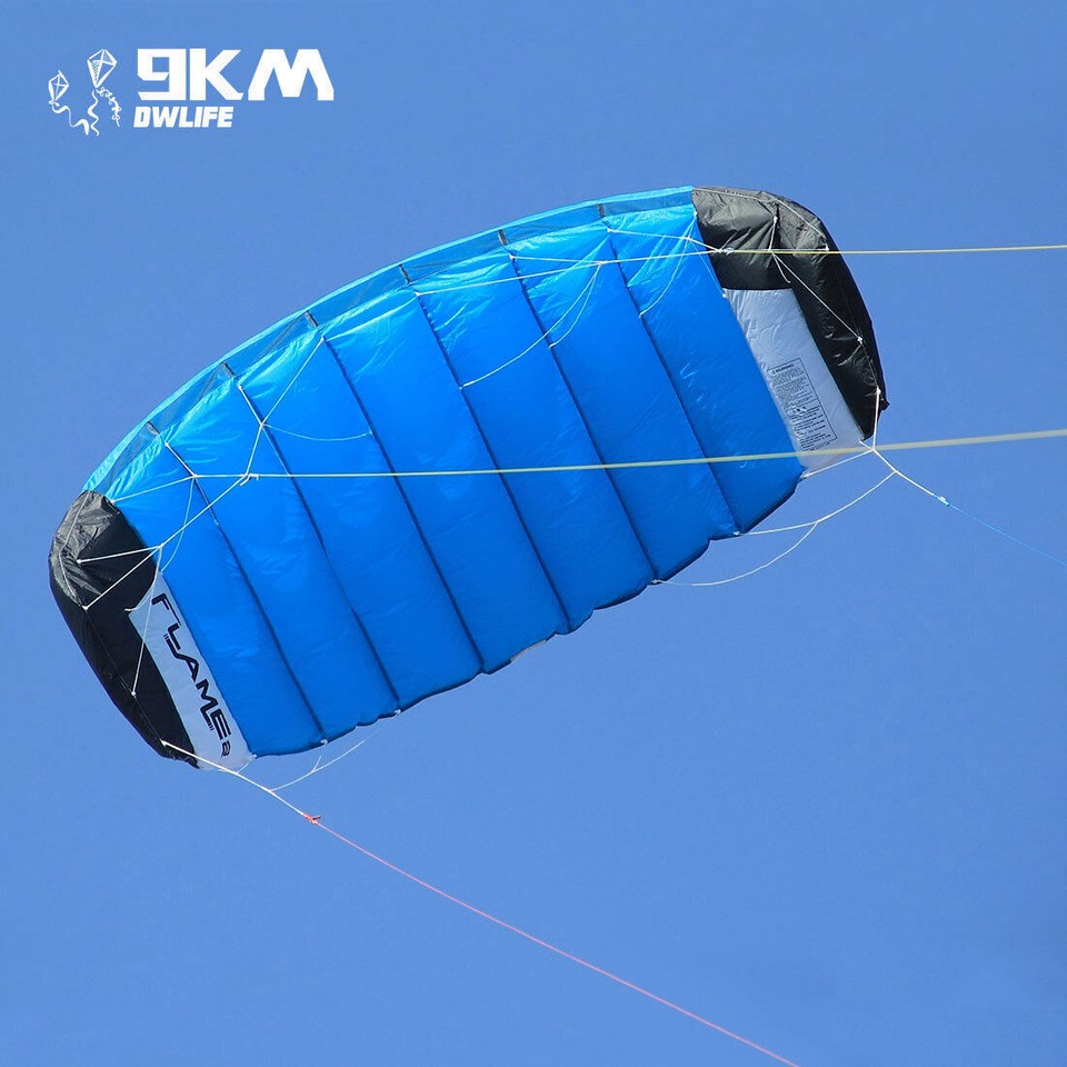 4sqm 4-Line Power Kite Professional Outdoor Sports Traction Kite With ...
