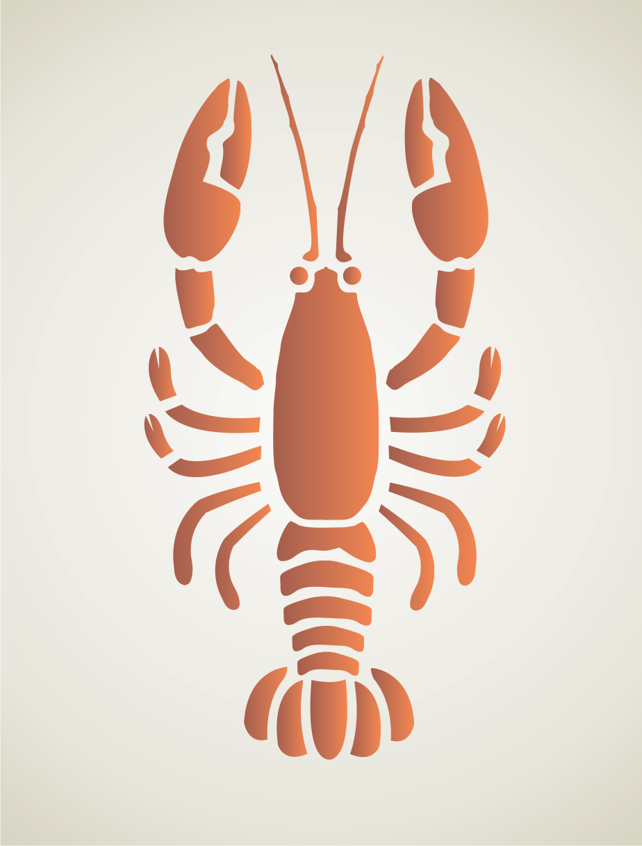 Joanie Crawfish Stencil Crawdad Sand Crawler DIY Craft Art Signs Many ...