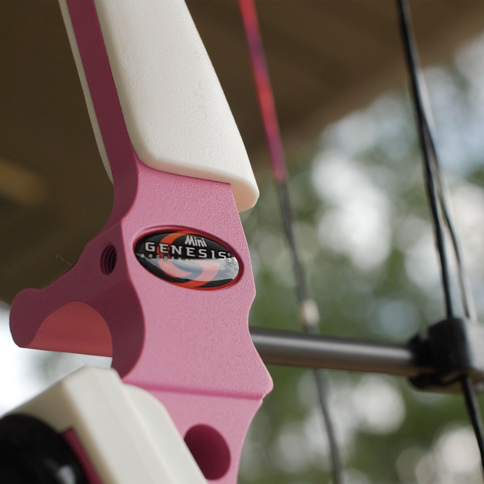 Genesis Mini, Youth Compound Bow and Arrow Set with Quiver, Draw Hand ...