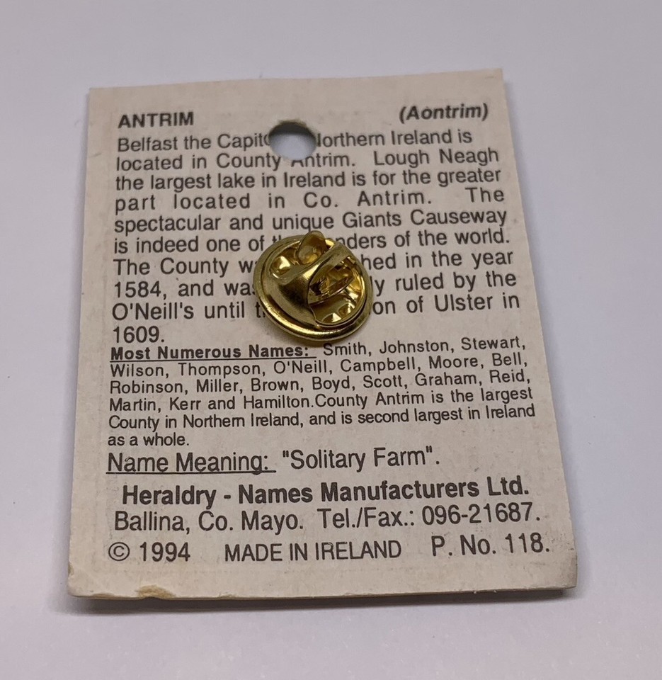 Antrim Coat Of Arms Family Crest Shield Surname Name Heraldic Irish Pin ...