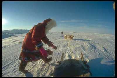 310001 Inuk Girl With Dog Team Pelly Bay A4 Photo Print | eBay UK