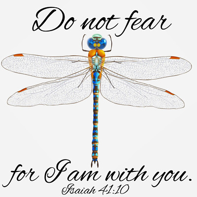 Do Not Fear Dragonfly Sticker Decal | eBay