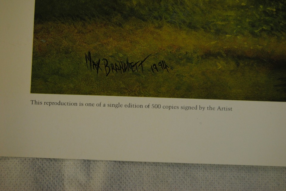 DANCING BRAVE LIMITED EDITION MAX BRANDRETT PRINT NEW FLAT RACEHORSE ...
