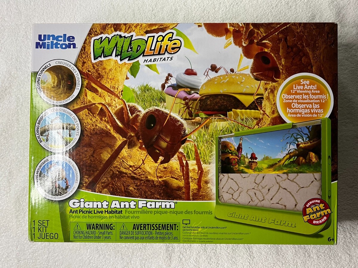 Giant Ant Farms Uncle Milton Giant Ant Farm Large Viewing Area