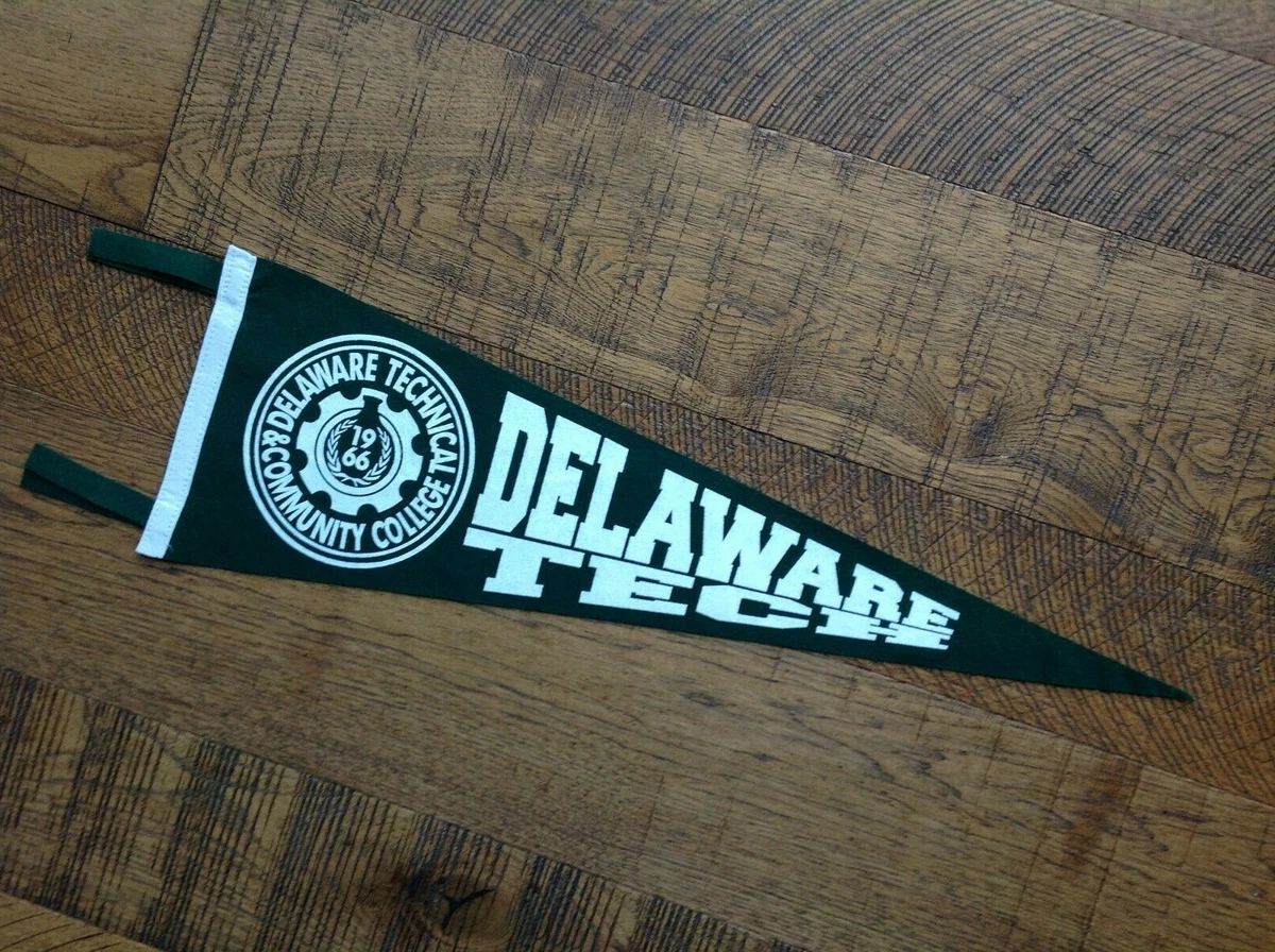 Georgetown University Pennant