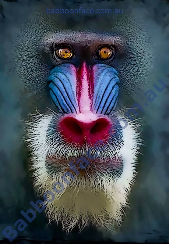 Pivot Pin Bush Kit For Bobcat 6717536 6730997 17c1272 6576033 773 S175 ...