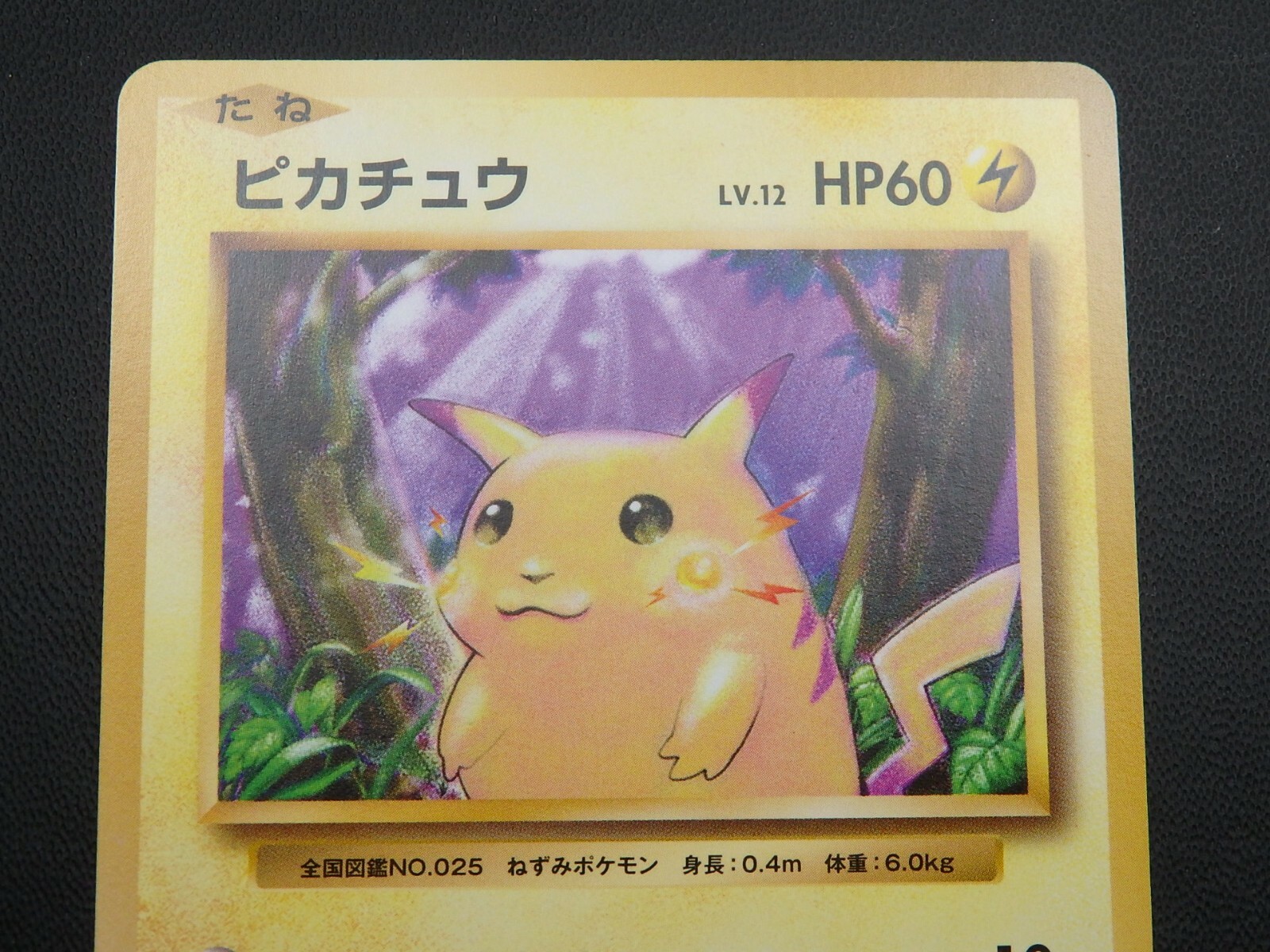 Pikachu Common 1. Edition CP6 20th Anniversary LV.12 Pokemon TCG JP | eBay