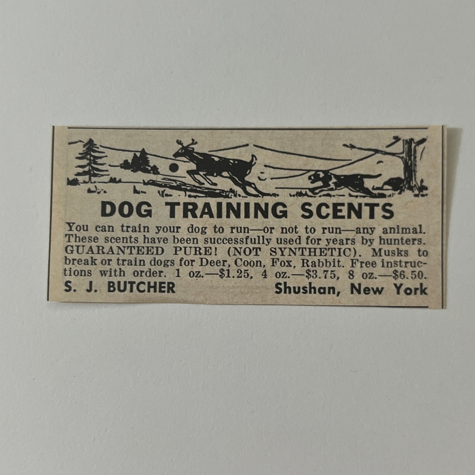 Dog Training Scents S.J. Butcher Shushan NY 1965 Magazine Ad SAH4-S7 | eBay
