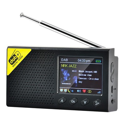 Portable DAB DAB+ Digital Radio FM Rechargeable Bluetooth Music Player ...