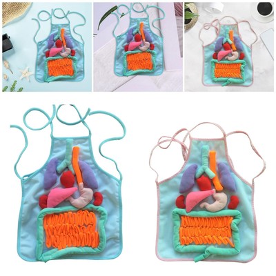 3D Organ Apron Early Childhood Educational Aprons for Kid Human Body ...