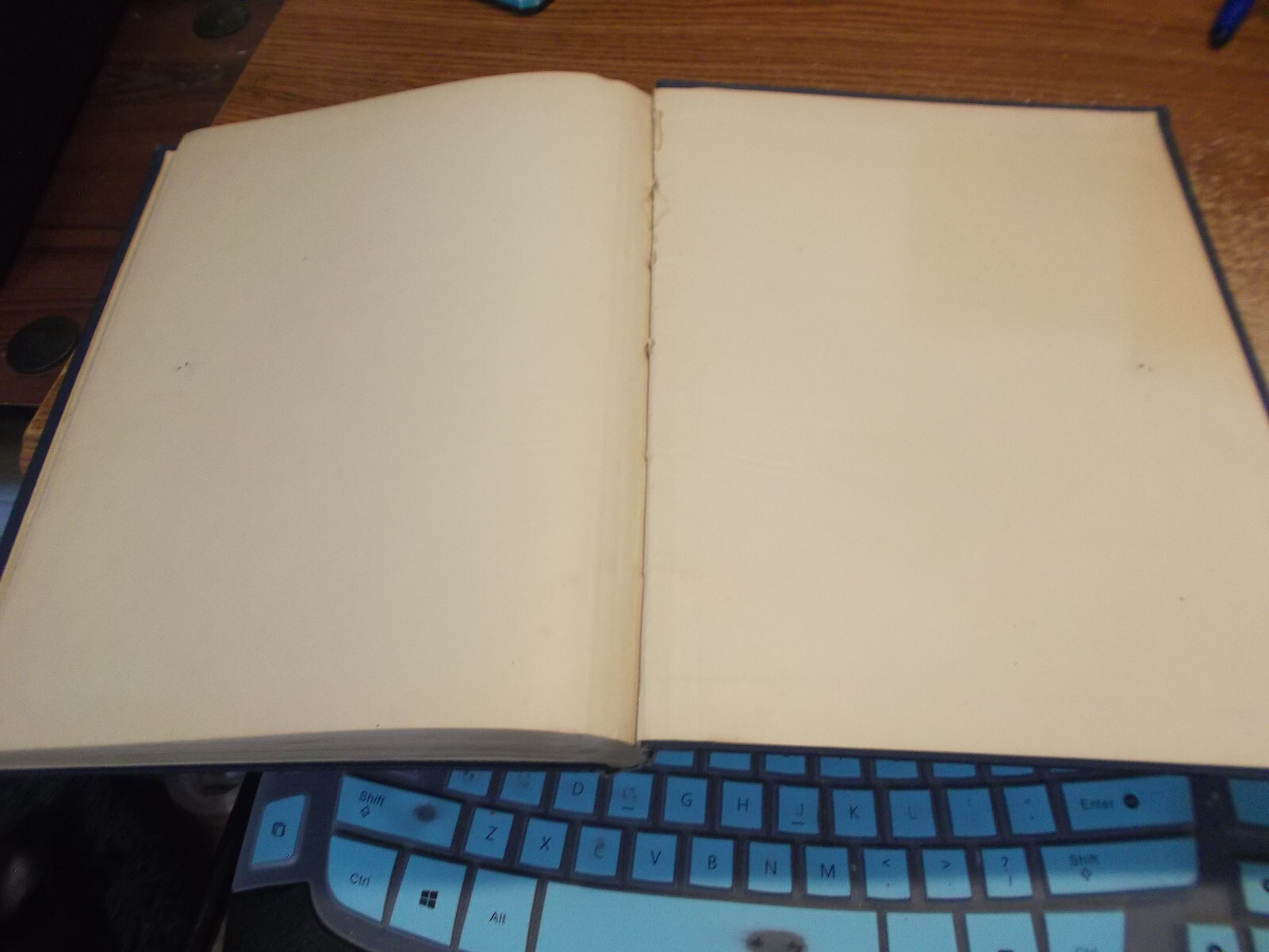 Flags of Maritime Nations - Secretary of the Navy - 5th Edition - 1882 ...