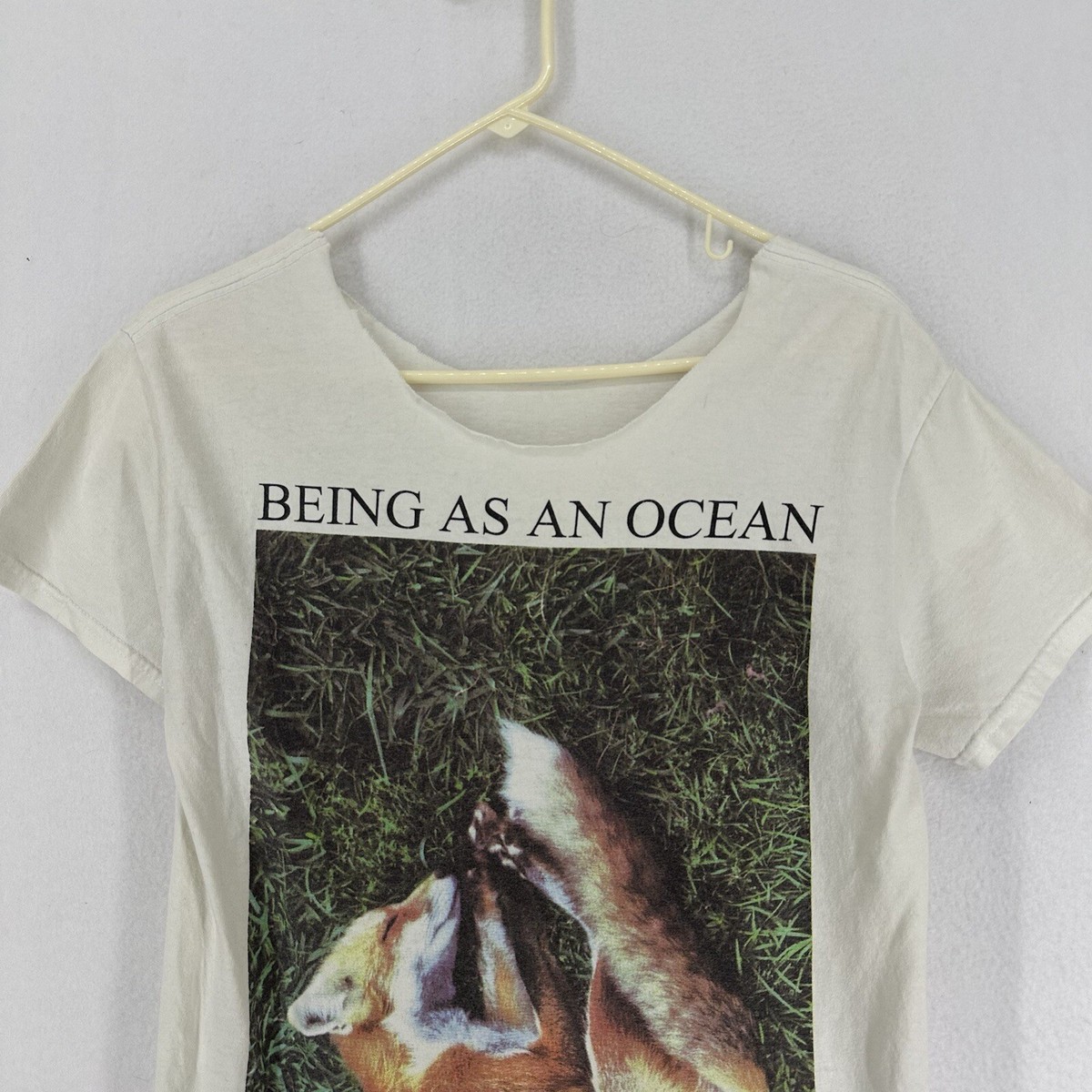 Being As An Ocean Fox