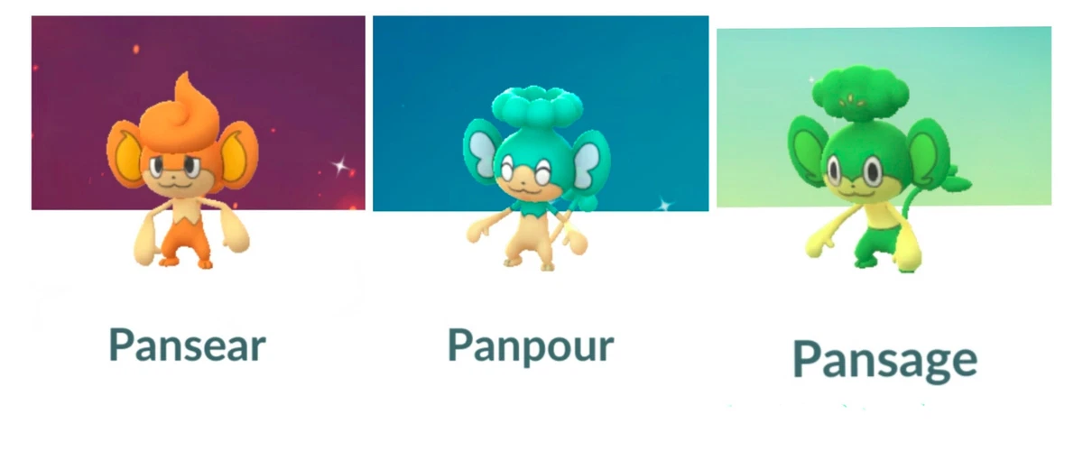 Shiny Pansear Evolution