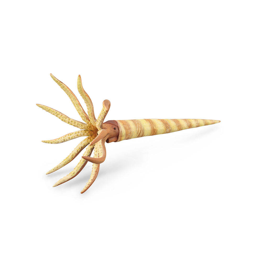 CollectA Realistic Animal Replica Orthoceras Figure Large Ages 3 Years ...