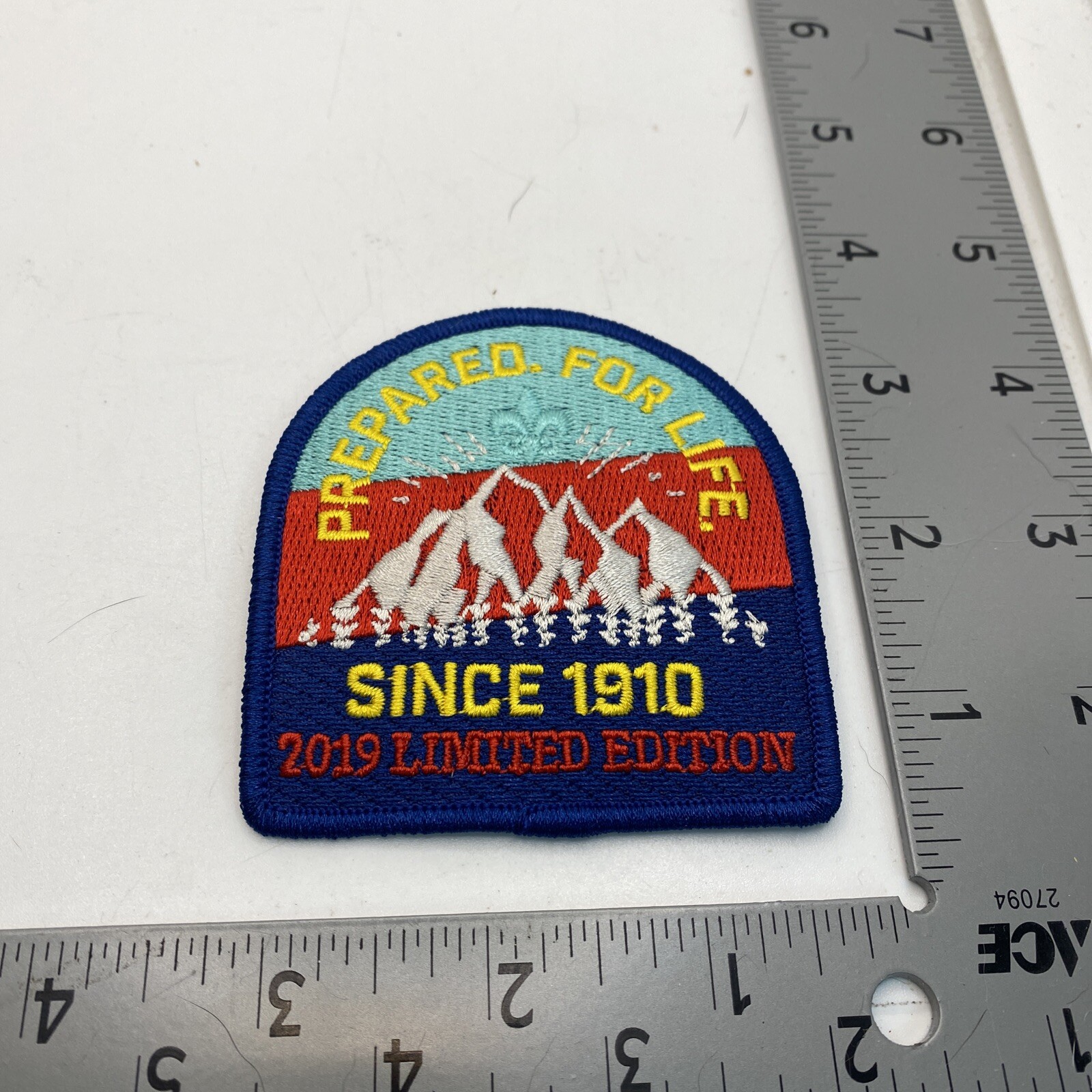 2019 Prepared For Life Since 1910 Limited Edition BSA Boy Scouts 9B ...