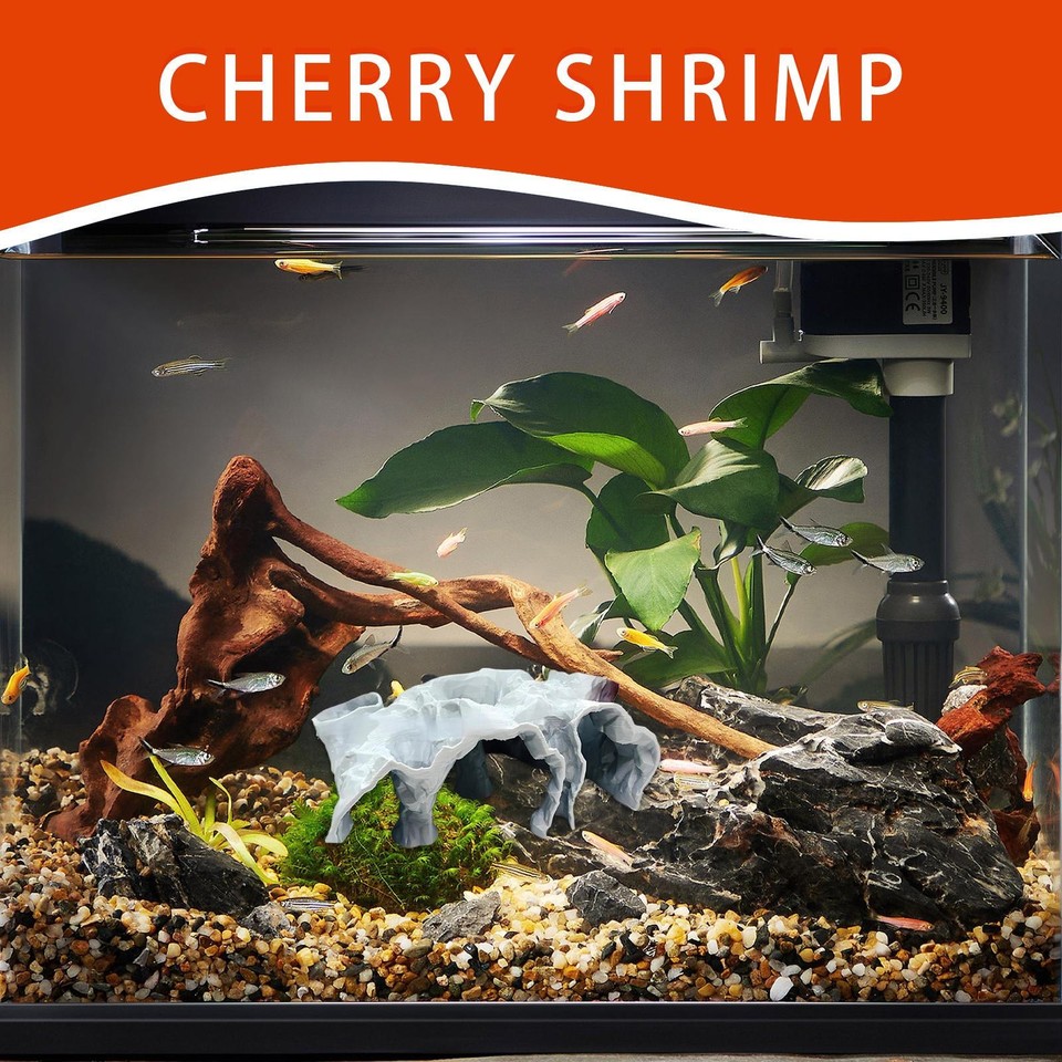 Aquarium Cave Pleco Cave Fish Tank Decor Breeding Shelter Landscape | eBay