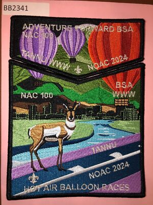 Boy Scout OA Flap Set Tannu Lodge 346 2024 NOAC | eBay