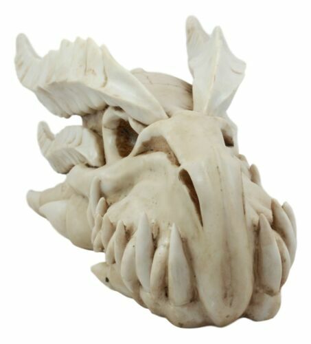 Large Dragon Fossil Skull Statue 14.5"L Archaeology Dragon Skeleton ...